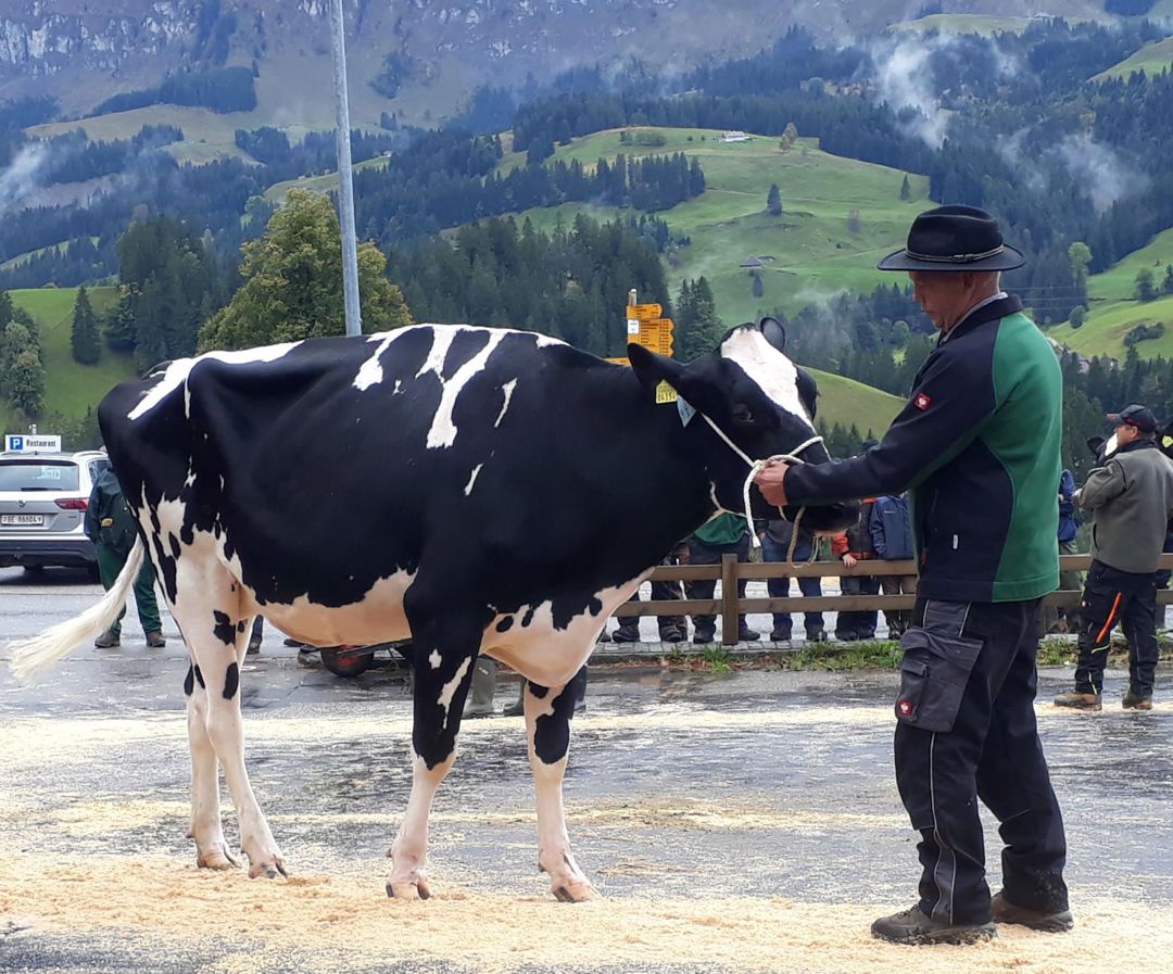Ueli Gfeller, Schangnau